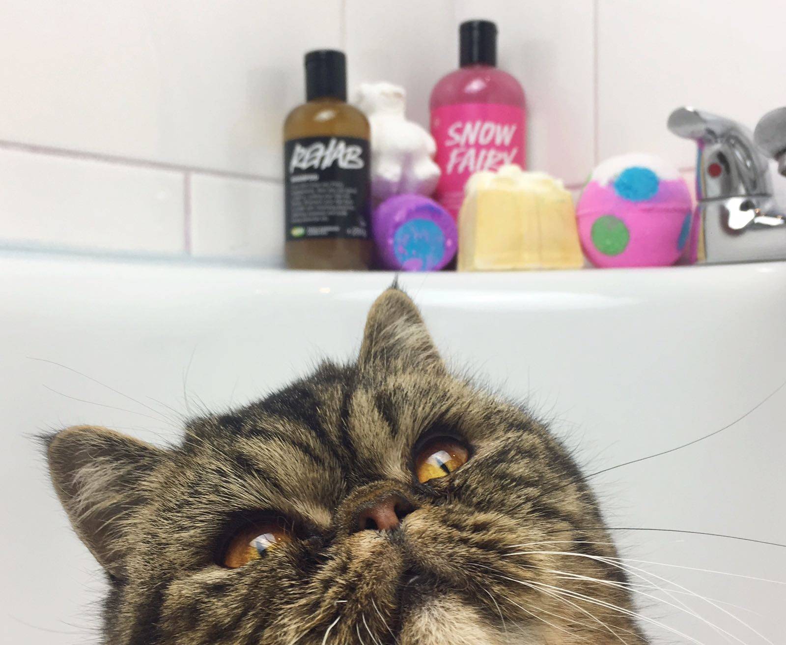 LUSH Christmas Sale | Mini Haul